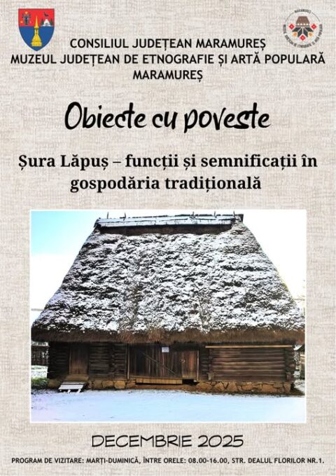 » Obiecte cu poveste